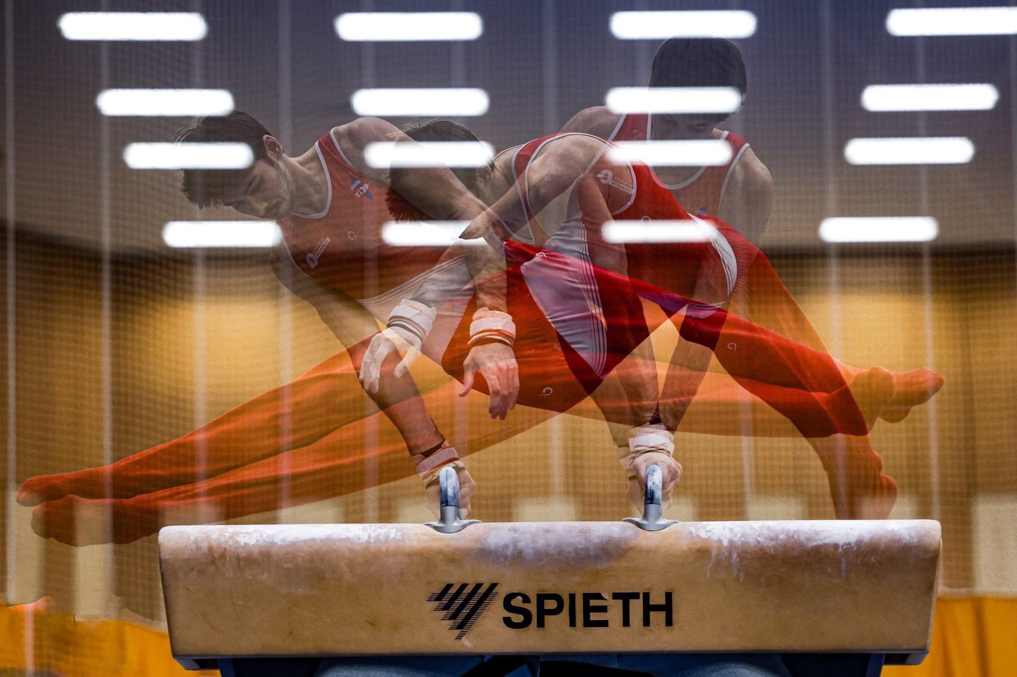 The sections of the Étoile de Monaco gymnastics club